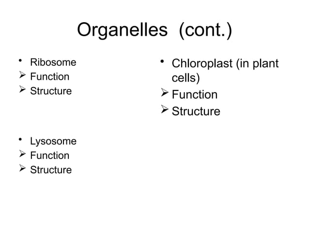 Presentation on cell structure and function | PPT