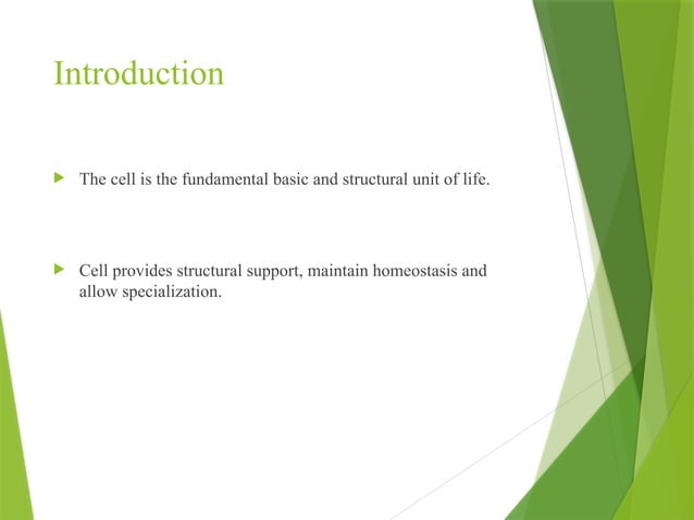 Presentation Vivian [Autosaved](1) 2.pptx