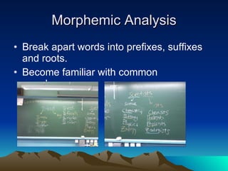 Presentation Vocabulary Building | PPT