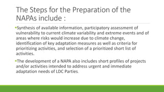 NAPs in South Asia | PPT