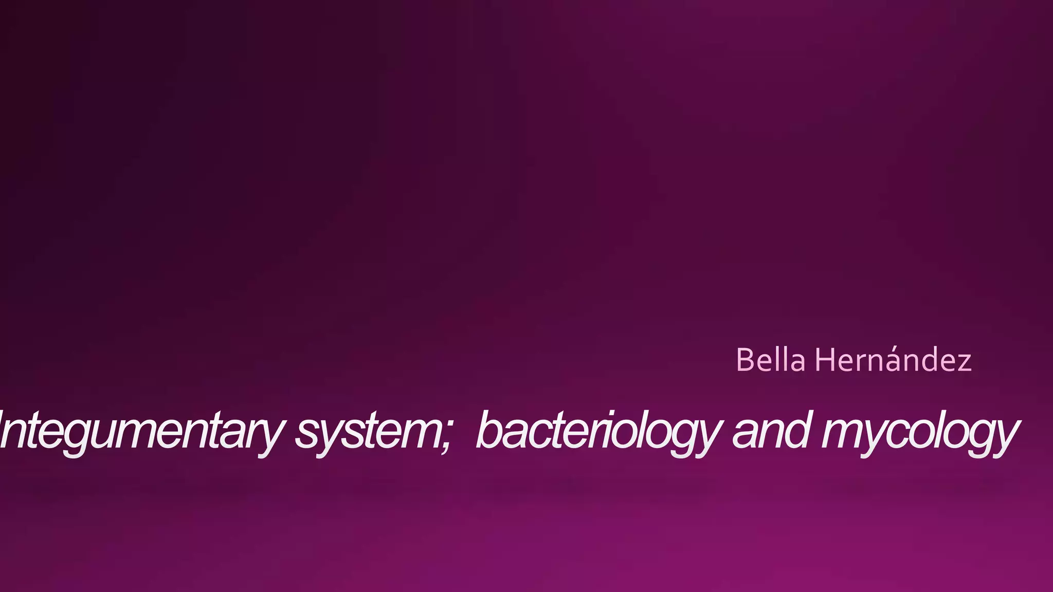 Skin disease in dog and cat, integumentary system, bacteriology and ...