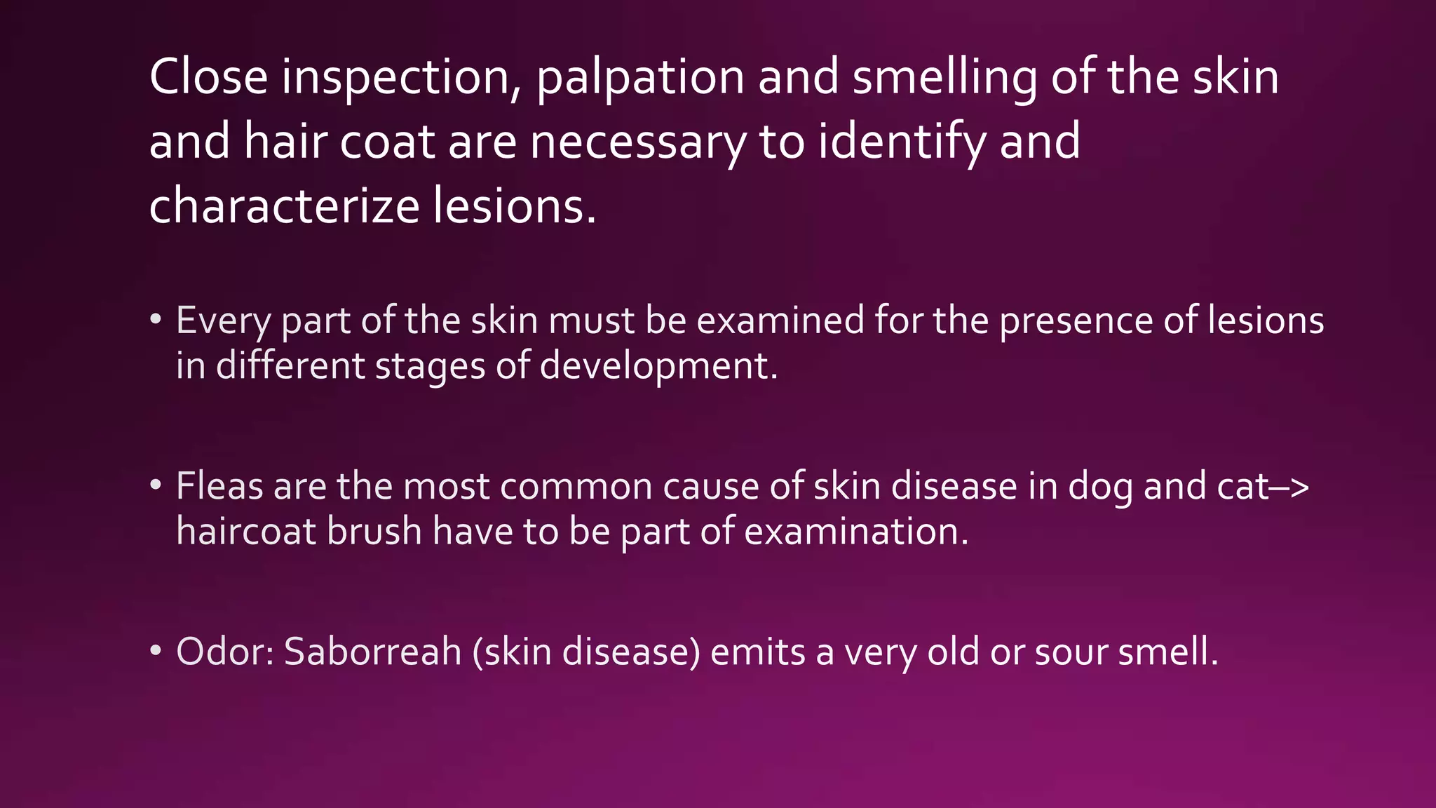 Skin disease in dog and cat, integumentary system, bacteriology and ...