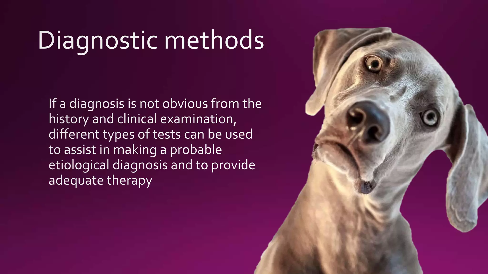 Skin disease in dog and cat, integumentary system, bacteriology and ...