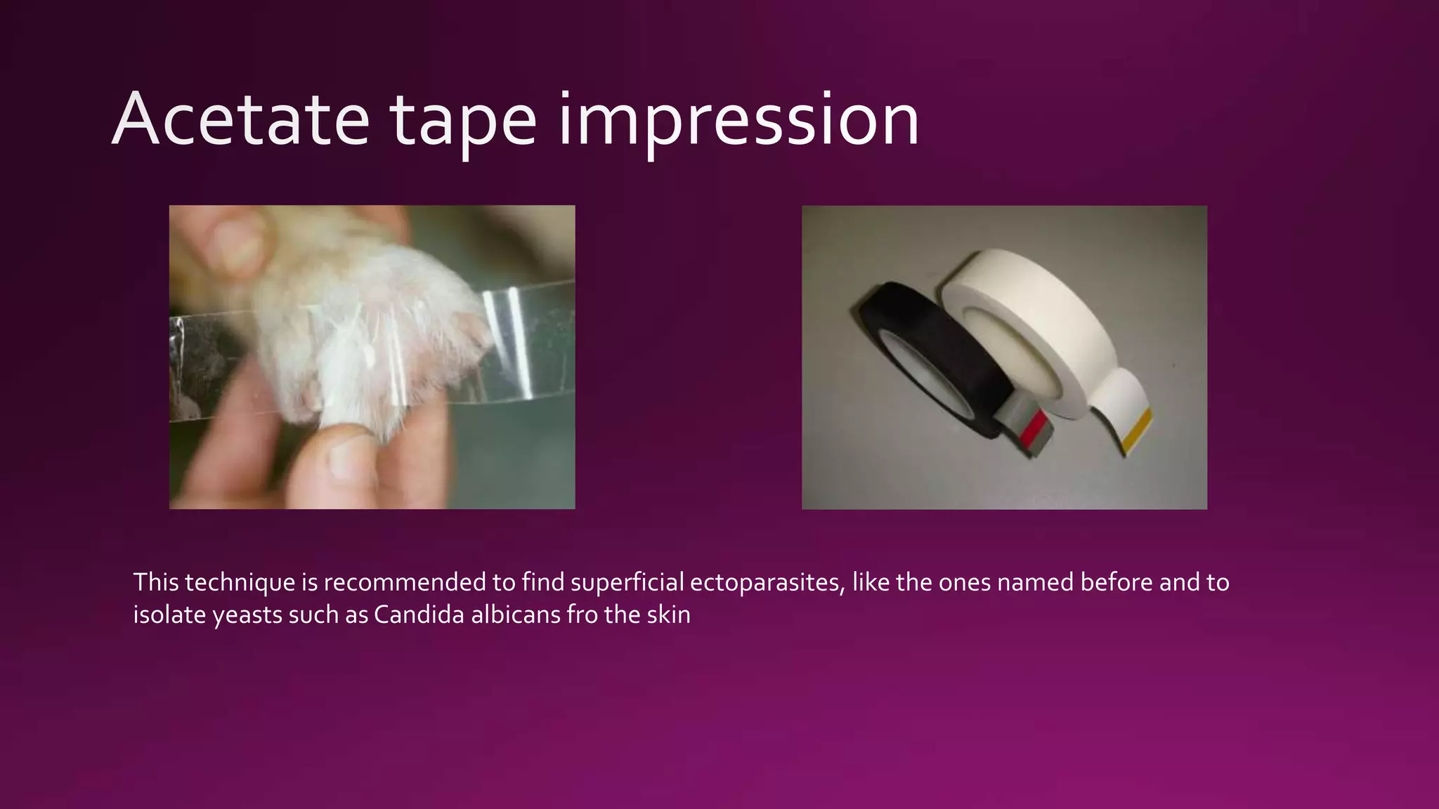 Skin disease in dog and cat, integumentary system, bacteriology and ...