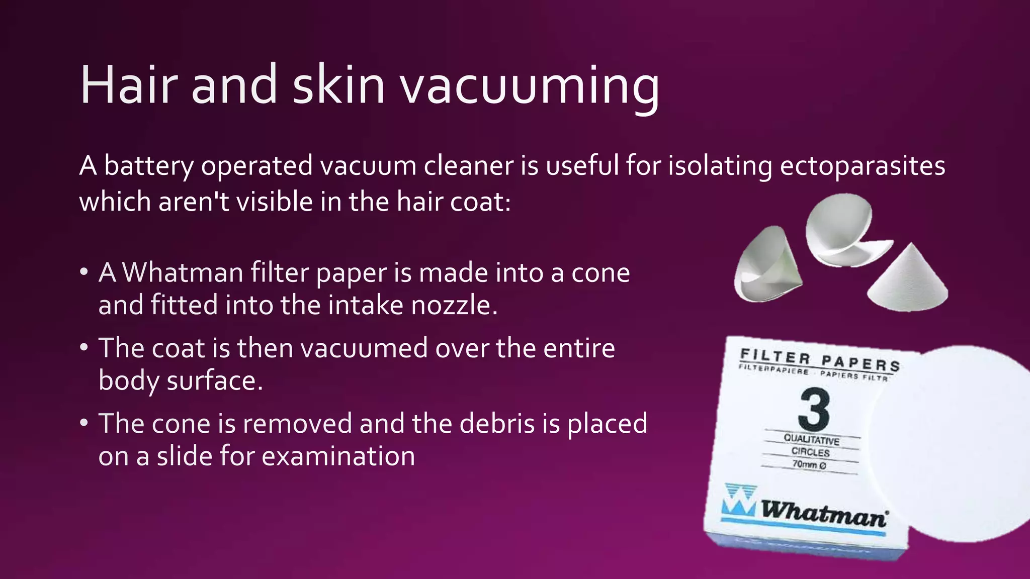 Skin disease in dog and cat, integumentary system, bacteriology and ...