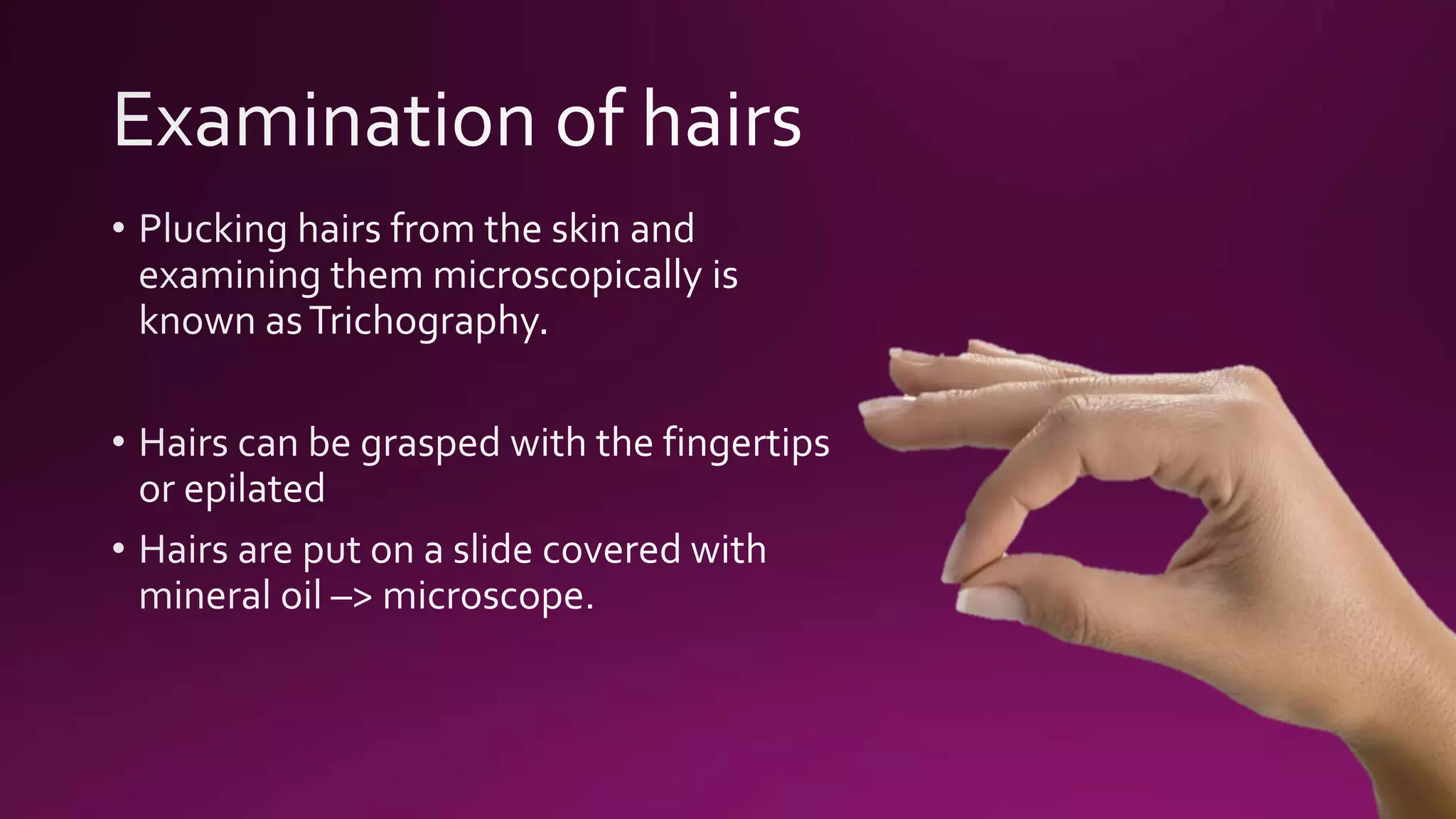 Skin disease in dog and cat, integumentary system, bacteriology and ...