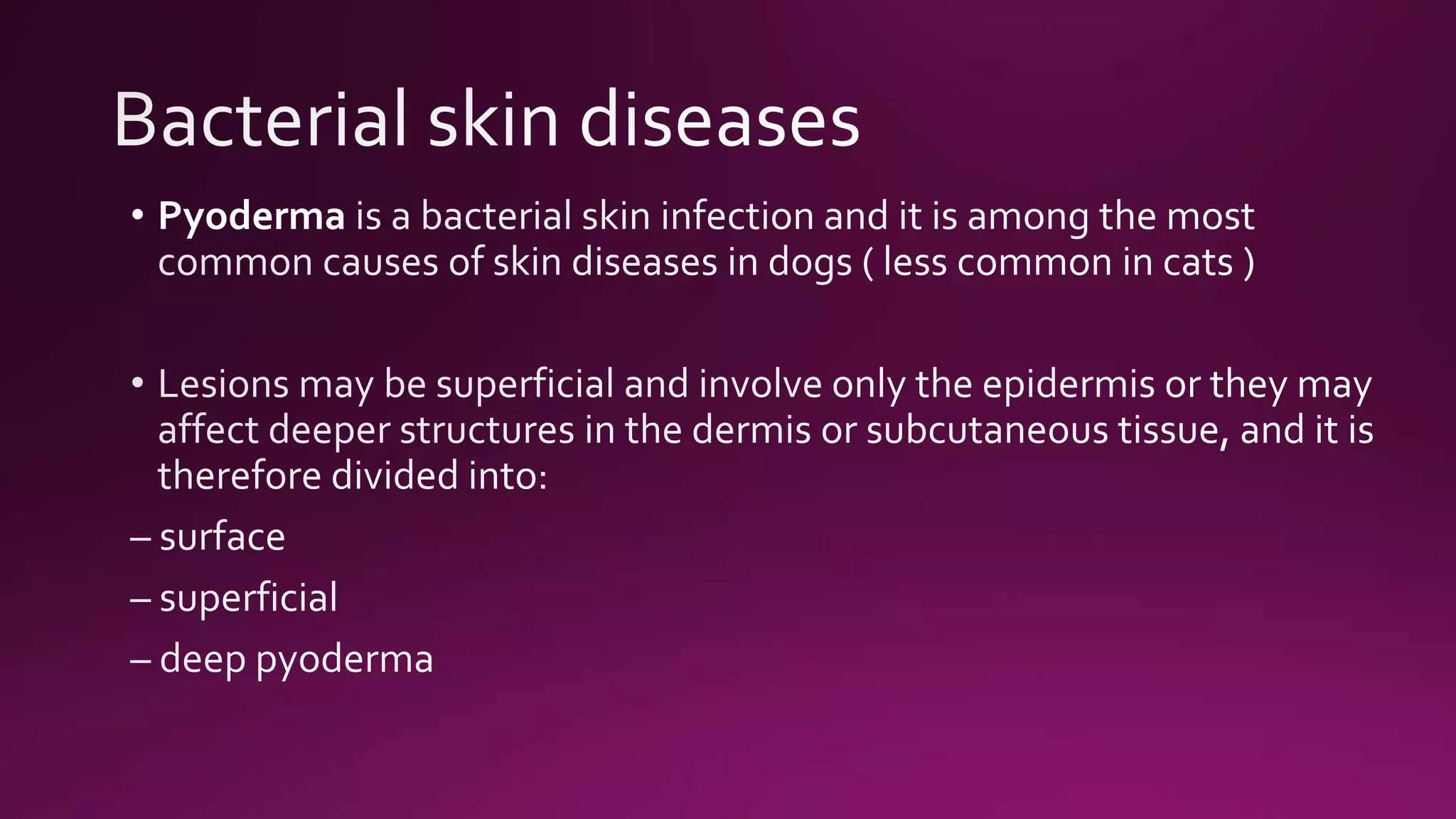 Skin disease in dog and cat, integumentary system, bacteriology and ...