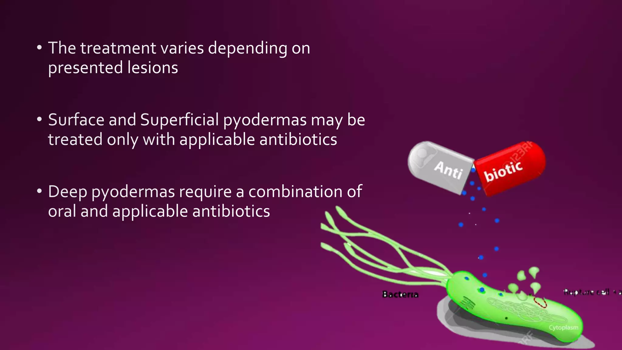Skin disease in dog and cat, integumentary system, bacteriology and ...
