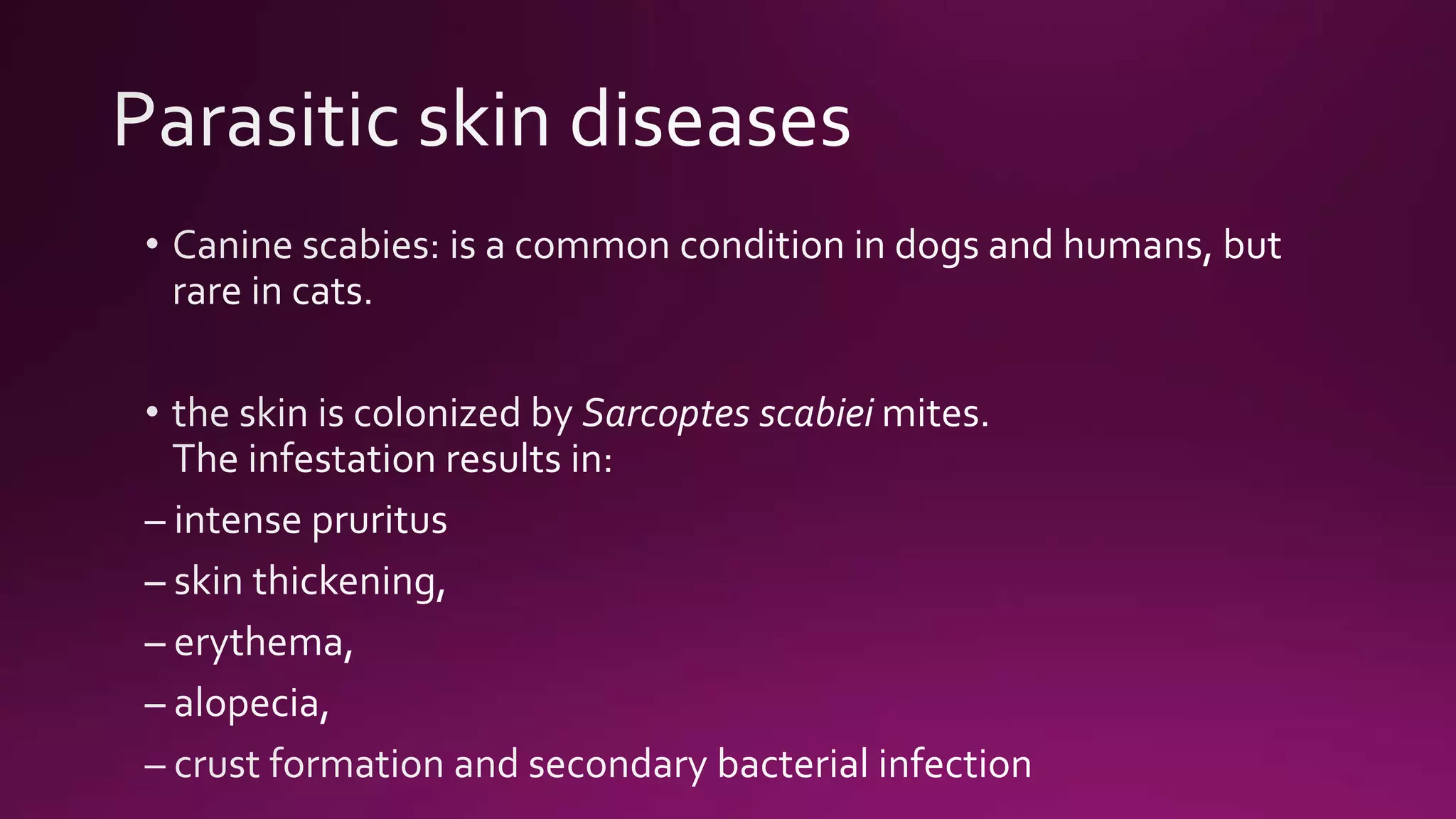 Skin disease in dog and cat, integumentary system, bacteriology and ...