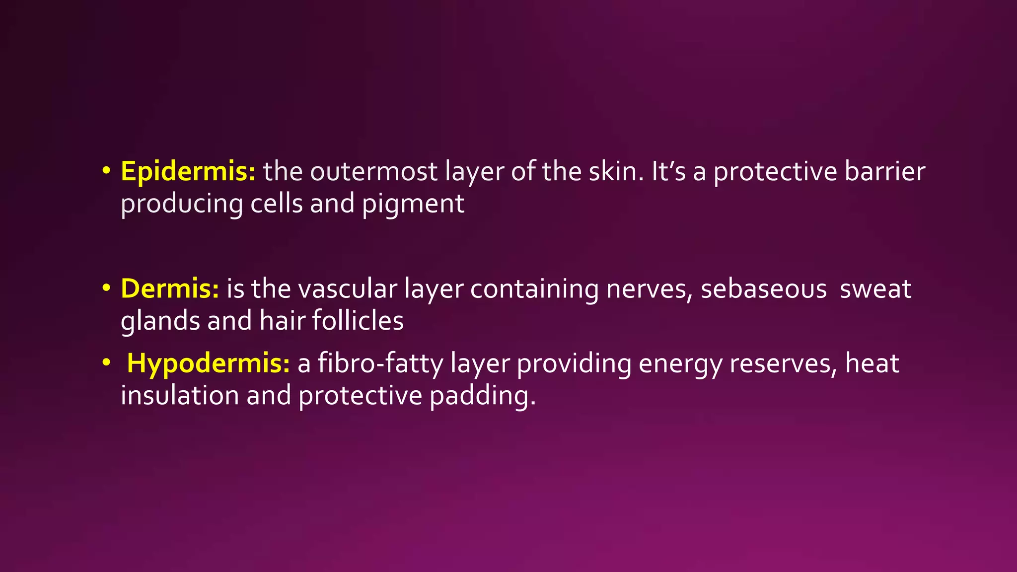 Skin disease in dog and cat, integumentary system, bacteriology and ...