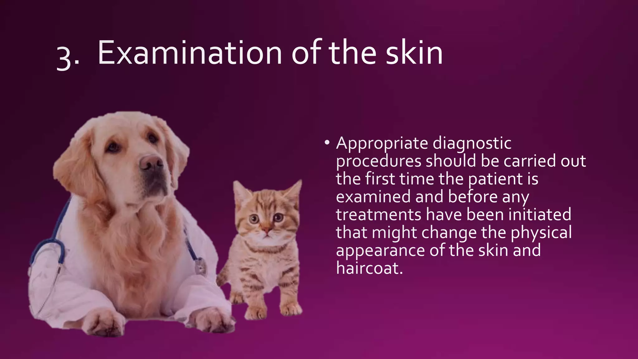 Skin disease in dog and cat, integumentary system, bacteriology and ...