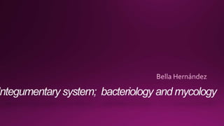 Skin disease in dog and cat, integumentary system, bacteriology and ...