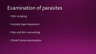 Skin disease in dog and cat, integumentary system, bacteriology and ...
