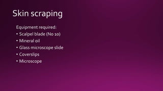 Skin disease in dog and cat, integumentary system, bacteriology and ...