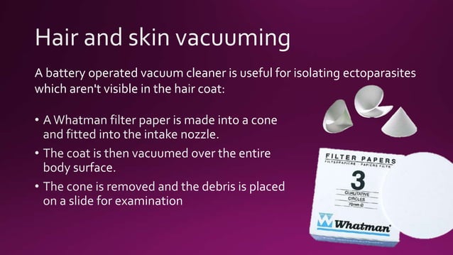 Skin disease in dog and cat, integumentary system, bacteriology and ...