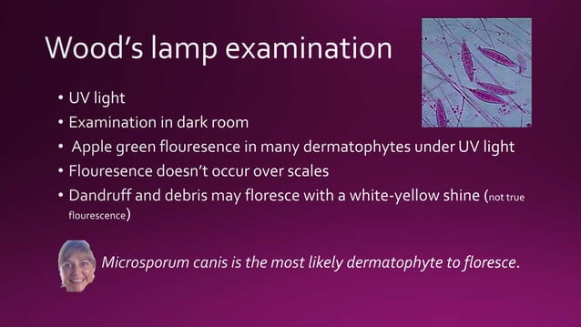 Skin disease in dog and cat, integumentary system, bacteriology and ...