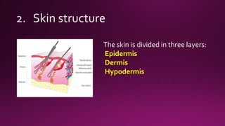 Skin disease in dog and cat, integumentary system, bacteriology and ...