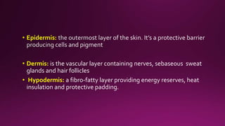 Skin disease in dog and cat, integumentary system, bacteriology and ...