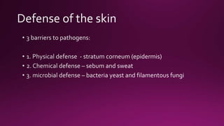 Skin disease in dog and cat, integumentary system, bacteriology and ...