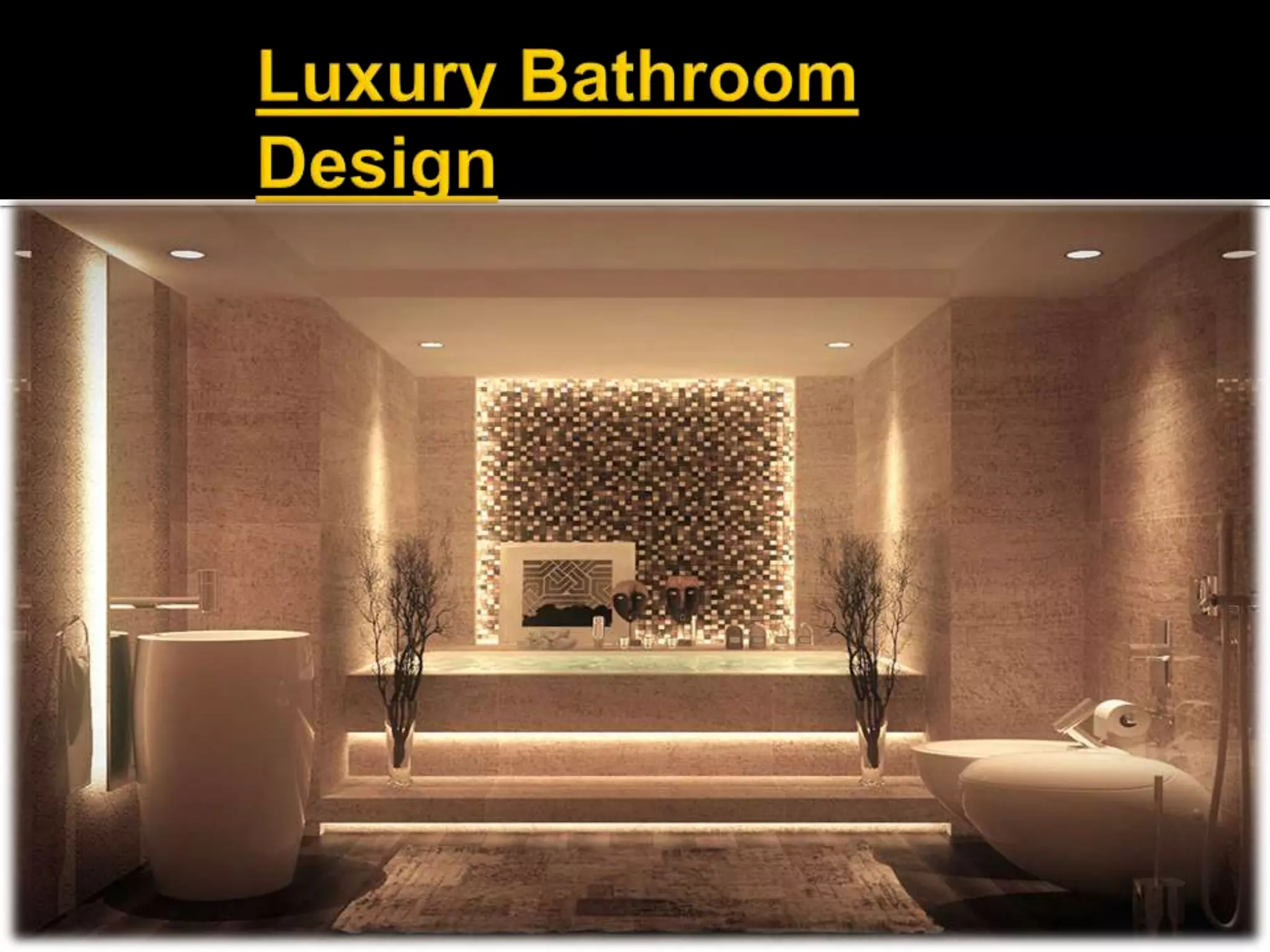 Presentation washroom design | PPTX
