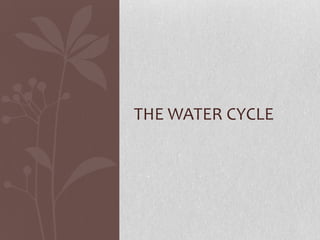 Presentation(watercycle) | PPTX
