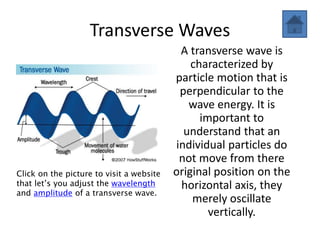 Wave Motion | PPTX