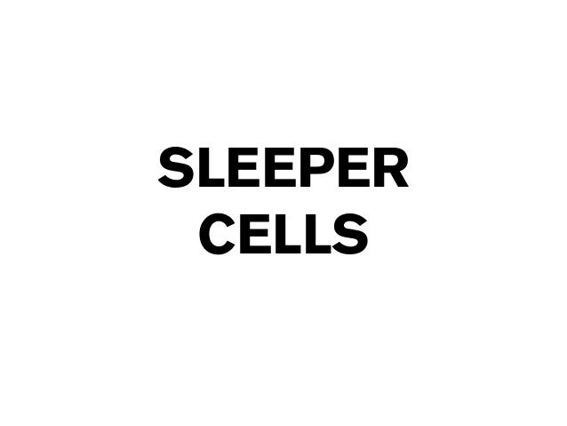 Sleeper Cells - Presentation week 3