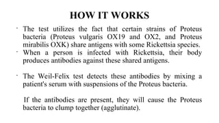 PRESENTATION WEIL-FELIX TEST and other diagnostic.ppt