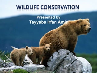 Presentation wildlife conservation | PPTX