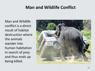 Presentation wildlife conservation | PPTX