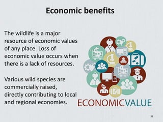 Presentation wildlife conservation | PPTX