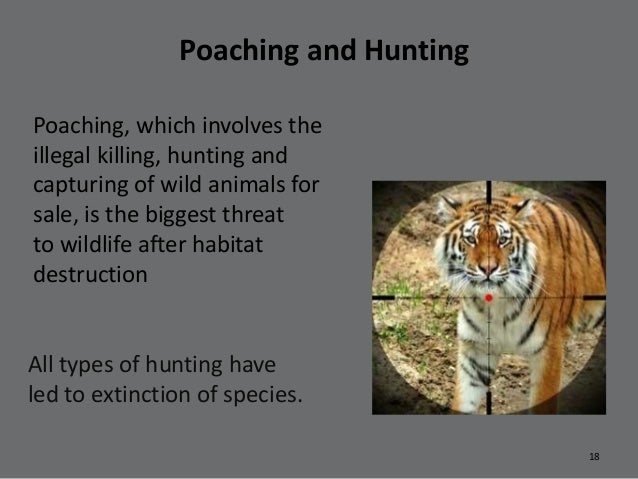 Presentation wildlife conservation