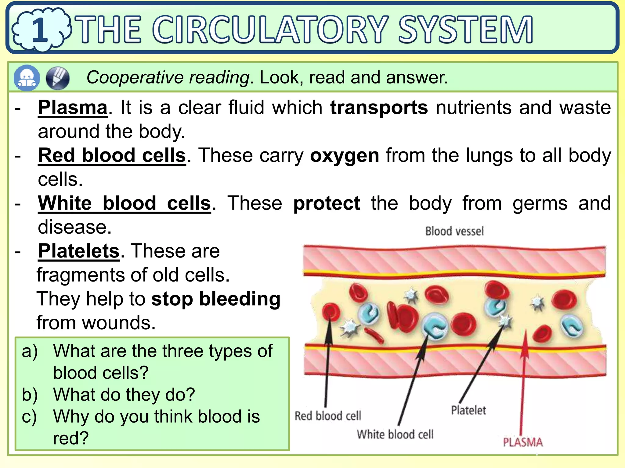 Presentation - Nutrition II (Circulation and Excretion) | PPTX