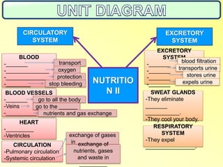 Presentation - Nutrition II (Circulation and Excretion) | PPTX