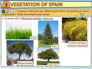 Presentation: Climates and vegetation of spain | PDF