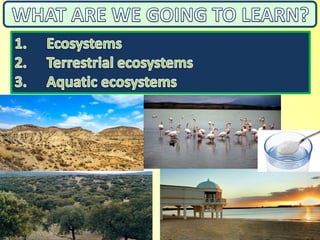 Presentation: Ecosystems | PPT