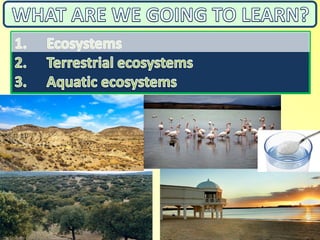 Presentation: Ecosystems | PPT