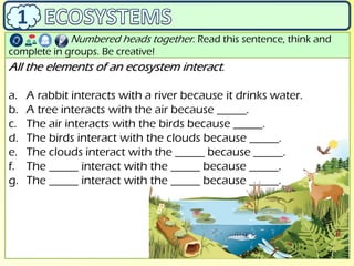 Presentation: Ecosystems | PPT
