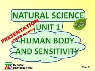 Presentation: Human Body and Sensitivity | PDF