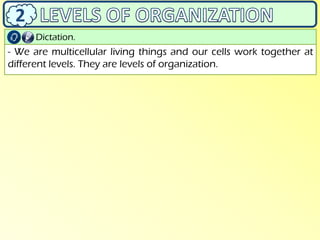 Presentation: Human Body and Sensitivity | PDF