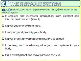 Presentation: Human Body and Sensitivity | PDF