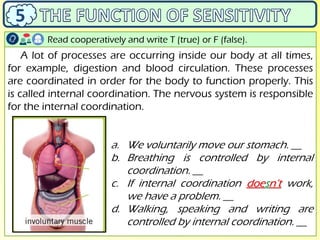 Presentation: Human Body and Sensitivity | PDF