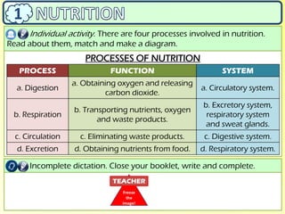 Presentation - Nutrition I (digestion & respiration) | PDF