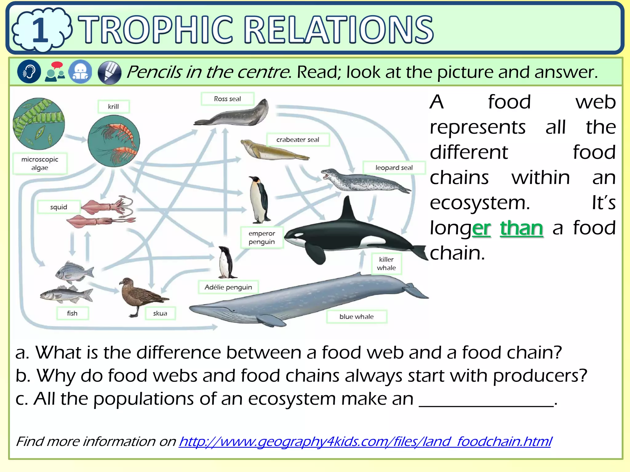 Presentation - Nutrition in ecosystems | PPT