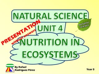 Presentation - Nutrition in ecosystems | PDF