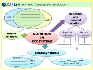 Presentation - Nutrition in ecosystems | PDF