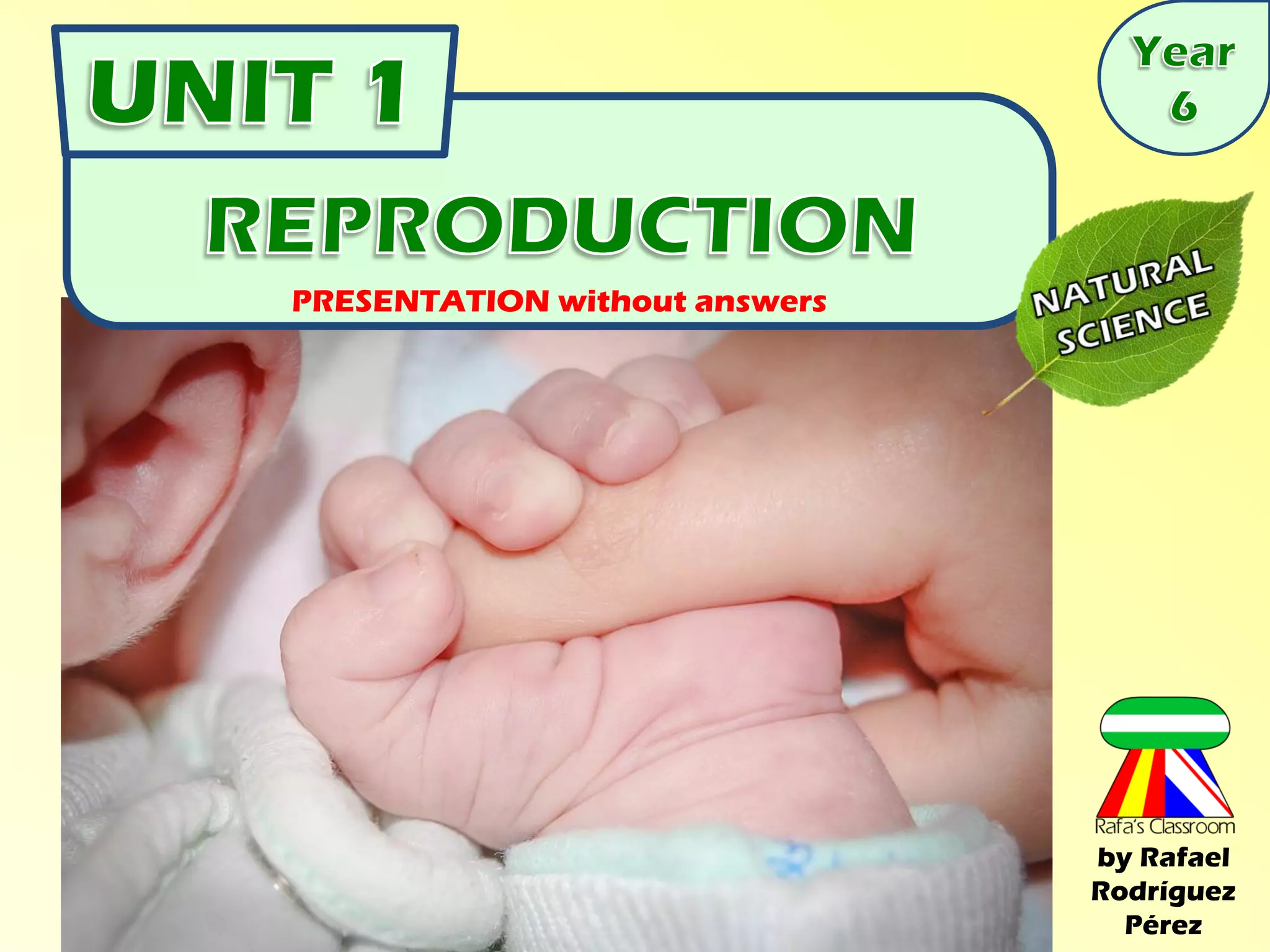 Presentation - Reproduction | PPT