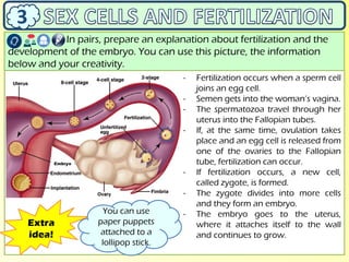 Presentation - Reproduction | PDF