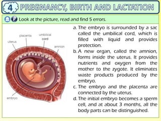 Presentation - Reproduction | PPT