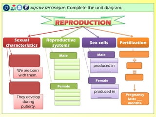 Presentation - Reproduction | PPT